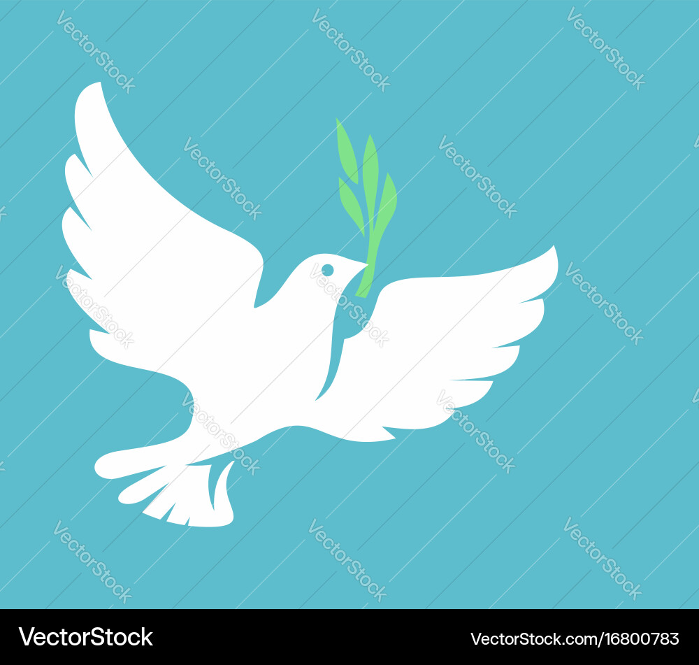 White dove Royalty Free Vector Image - VectorStock