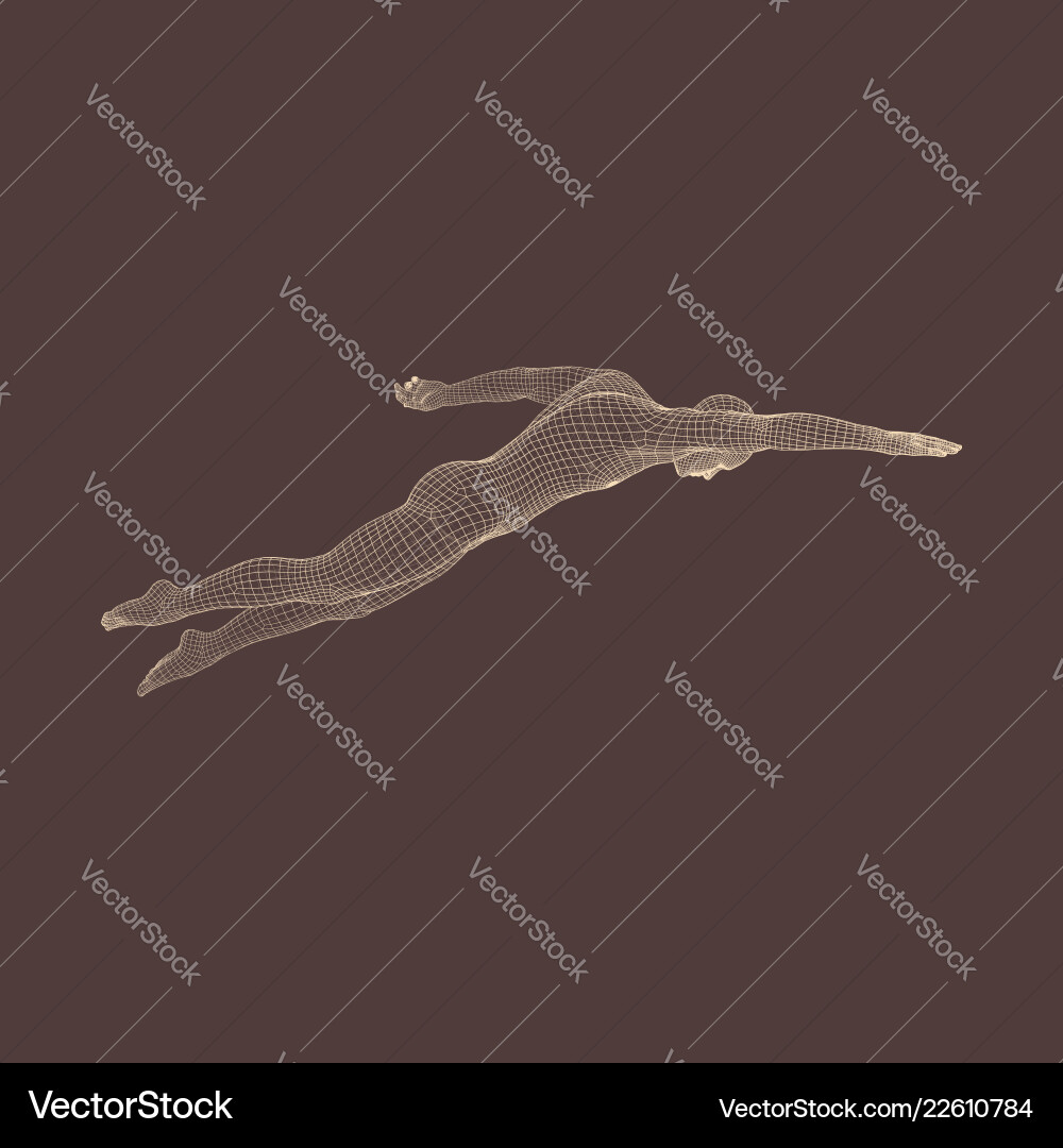 3D Wireframe Swimmer Model Royalty Free Vector Image