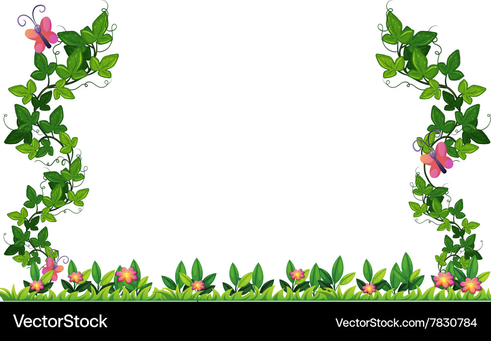 Vine Frames And Borders Vector Free - Infoupdate.org