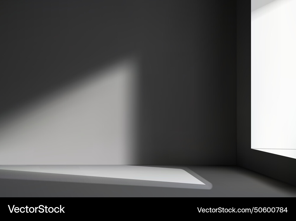 Empty studio room background with light shadow Vector Image