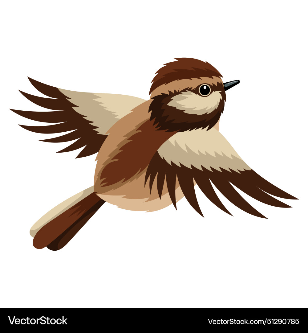 Flying brown little bird Royalty Free Vector Image
