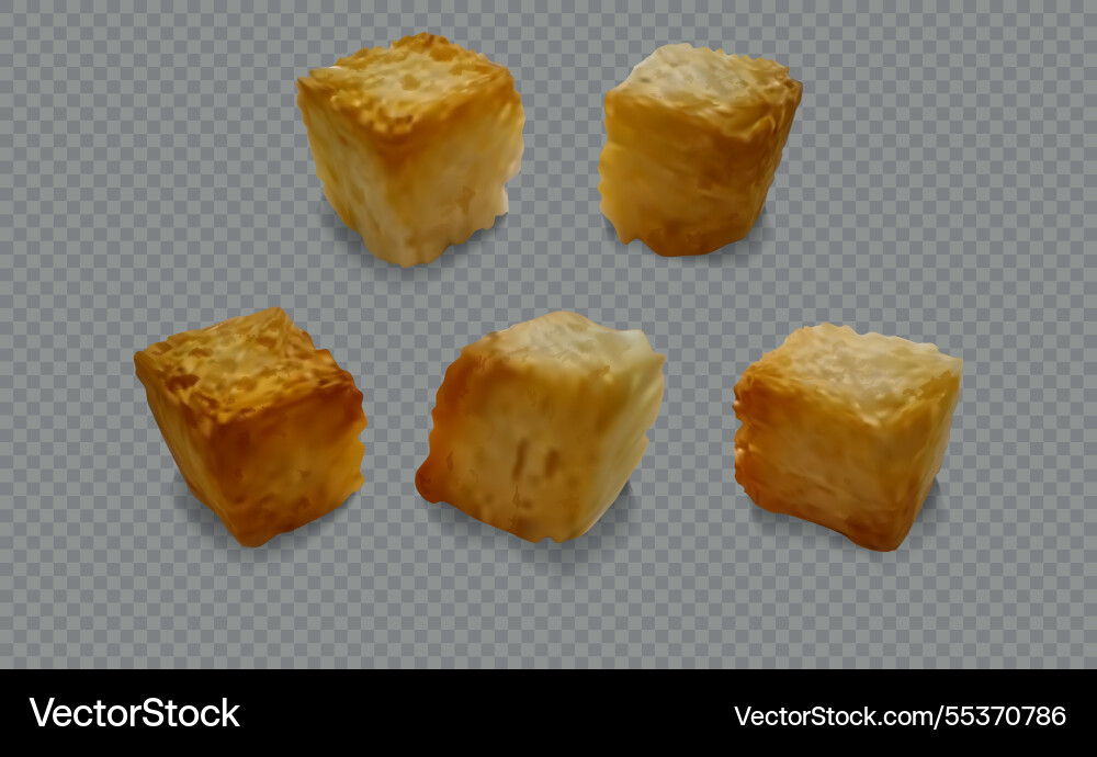 Realistic detailed 3d different crackers crispy Vector Image