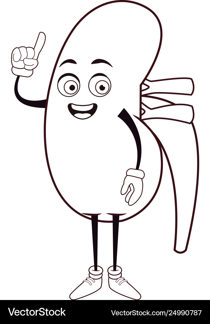 Kidney funny cartoon Royalty Free Vector Image
