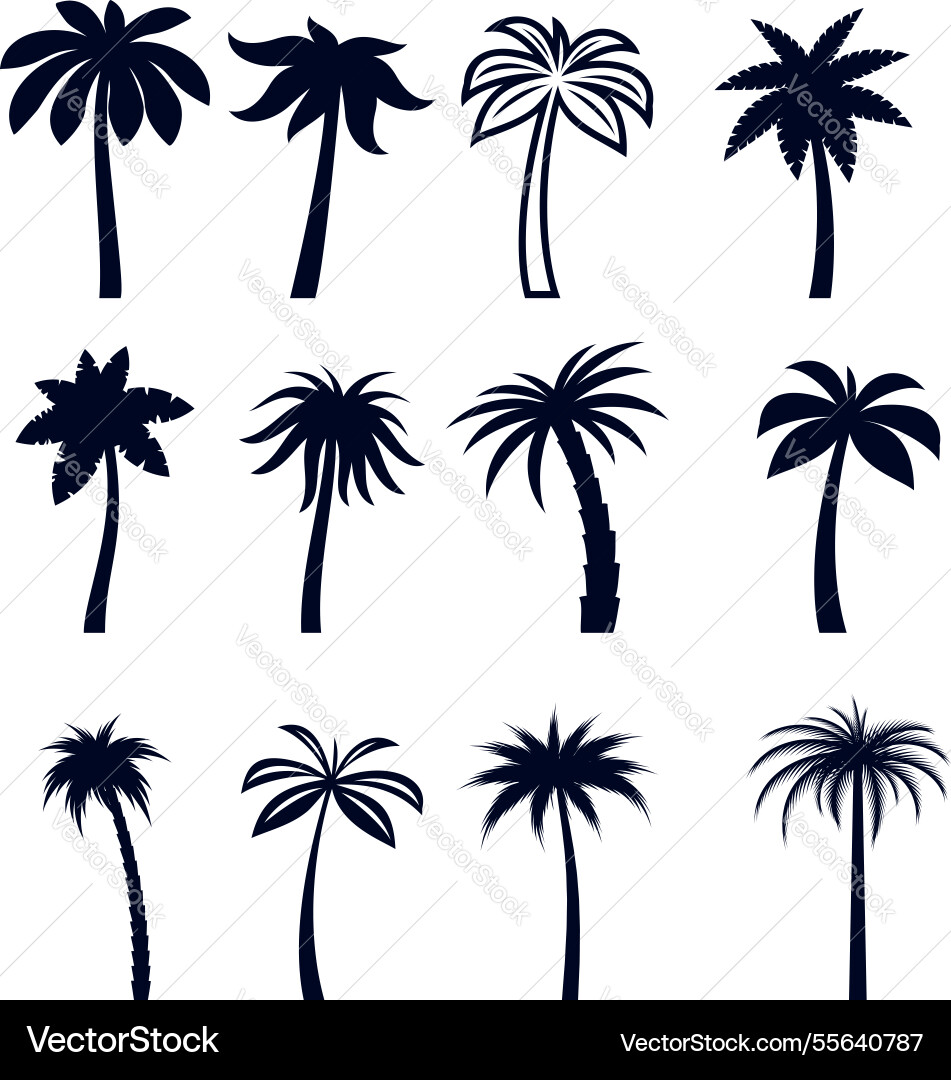Tropical palm trees Royalty Free Vector Image - VectorStock