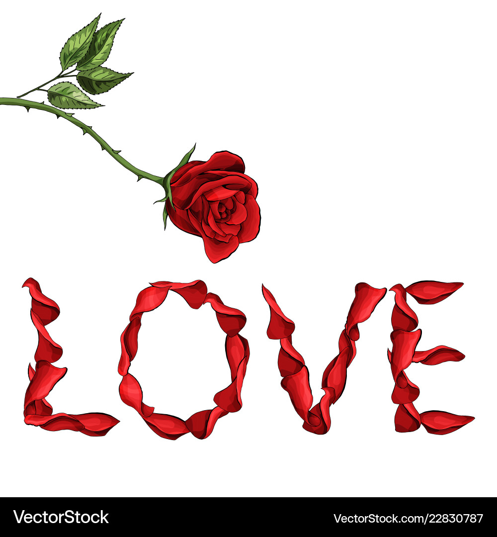 Valentine day love postcard template single red Vector Image