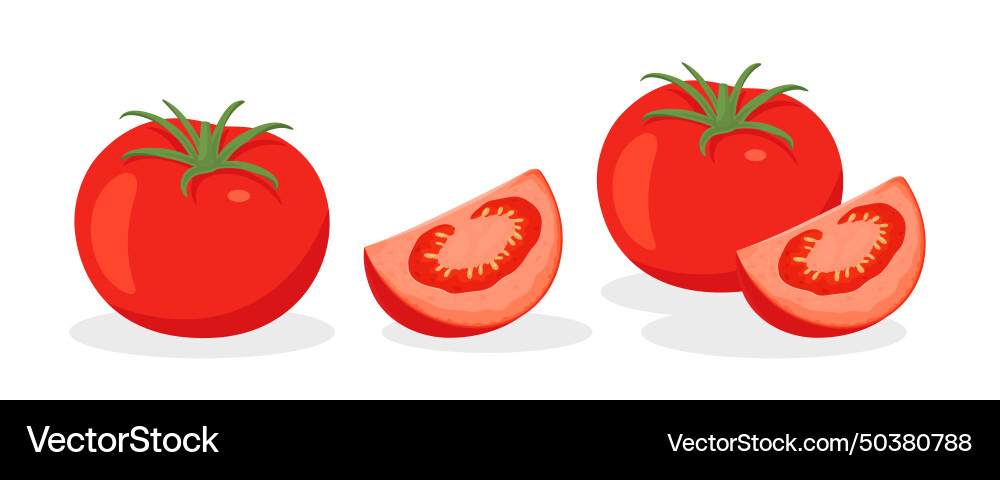 Flat fresh tomato icon set isolated whole Vector Image