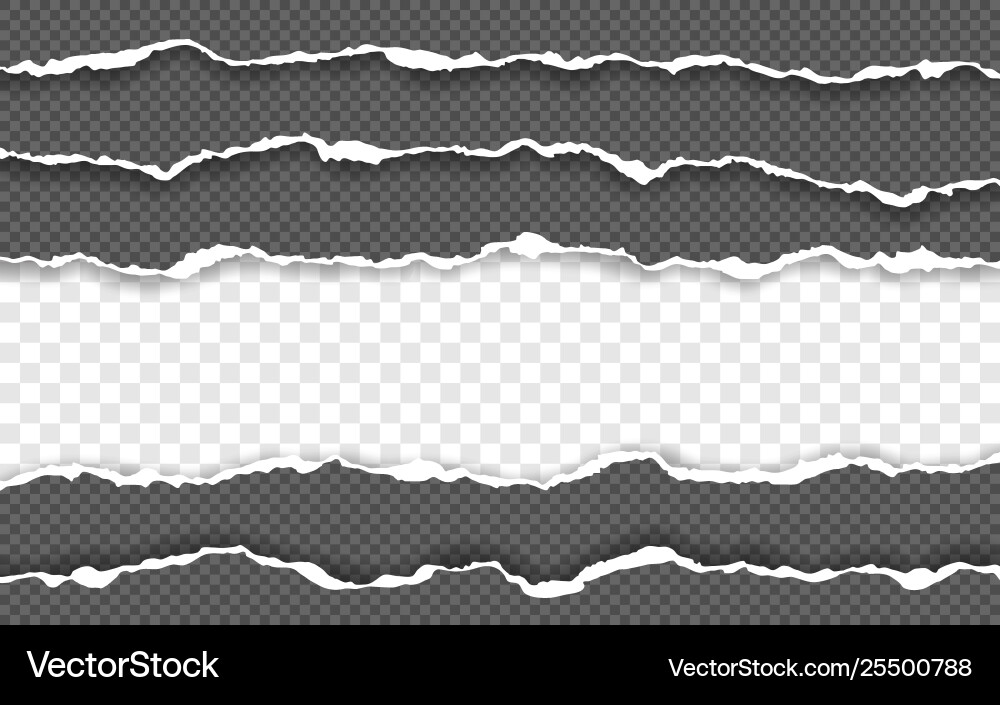 Horizontal torn paper edge ripped squared Vector Image
