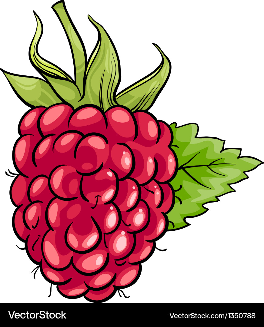 Raspberry fruit cartoon Royalty Free Vector Image