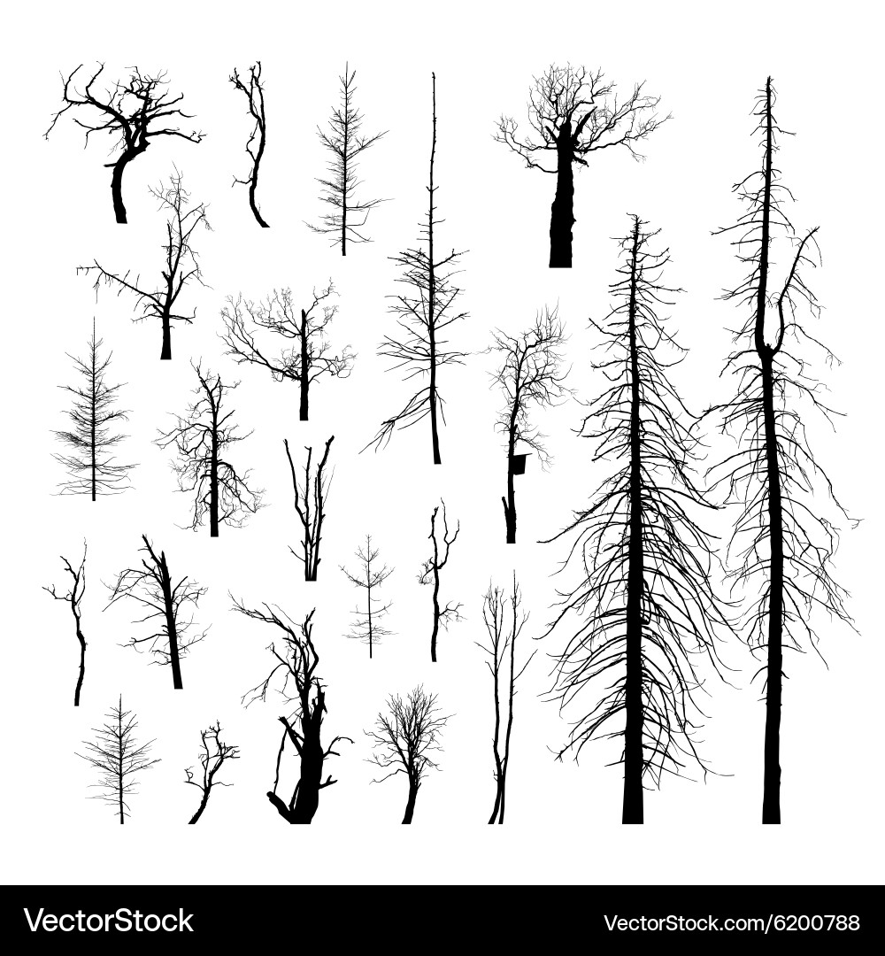Set of dead trees Royalty Free Vector Image - VectorStock