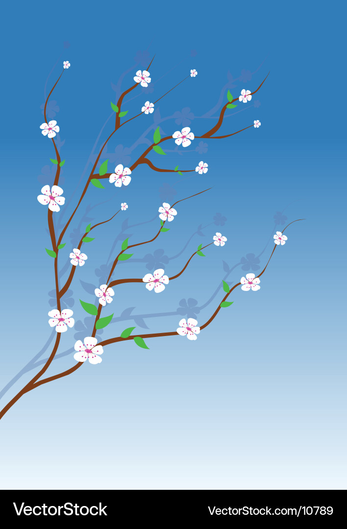 Almond tree Royalty Free Vector Image - VectorStock