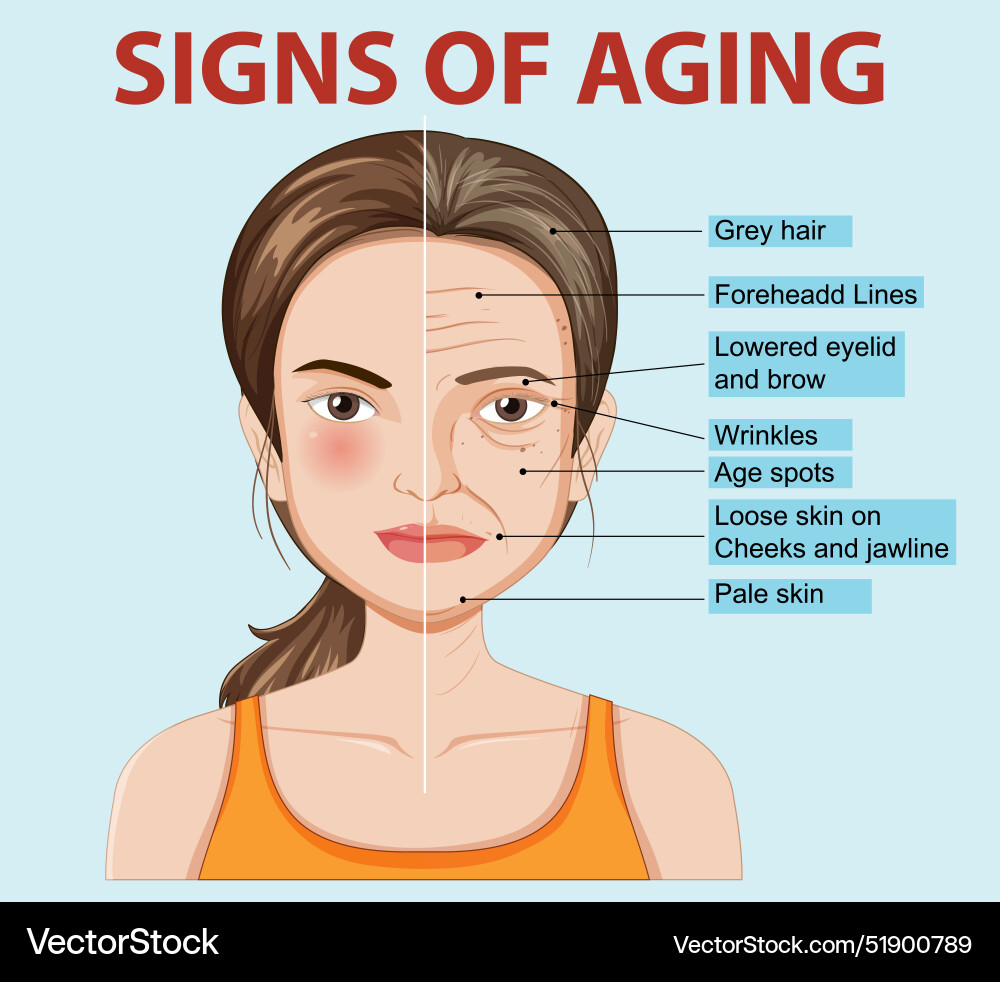Visual depiction of common aging signs Royalty Free Vector