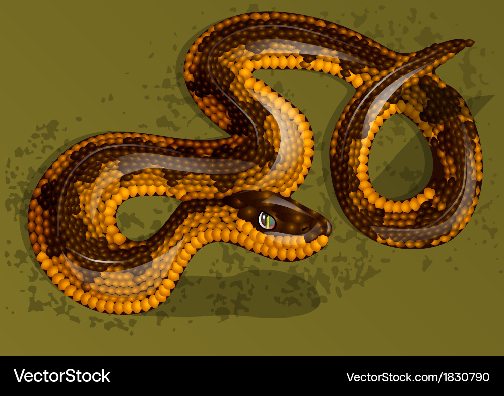 Rusty Snake on Green Background Royalty Free Vector Image