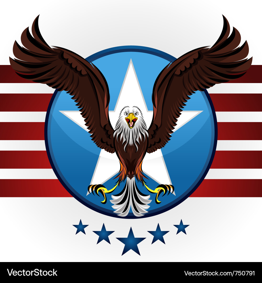 American bald eagle Royalty Free Vector Image - VectorStock