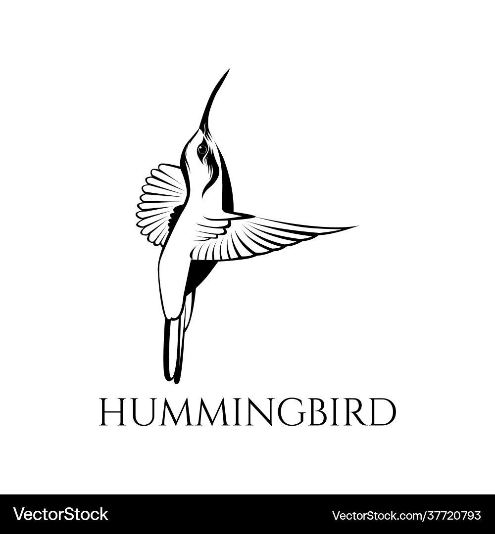 Black and white hummingbird 04 Royalty Free Vector Image