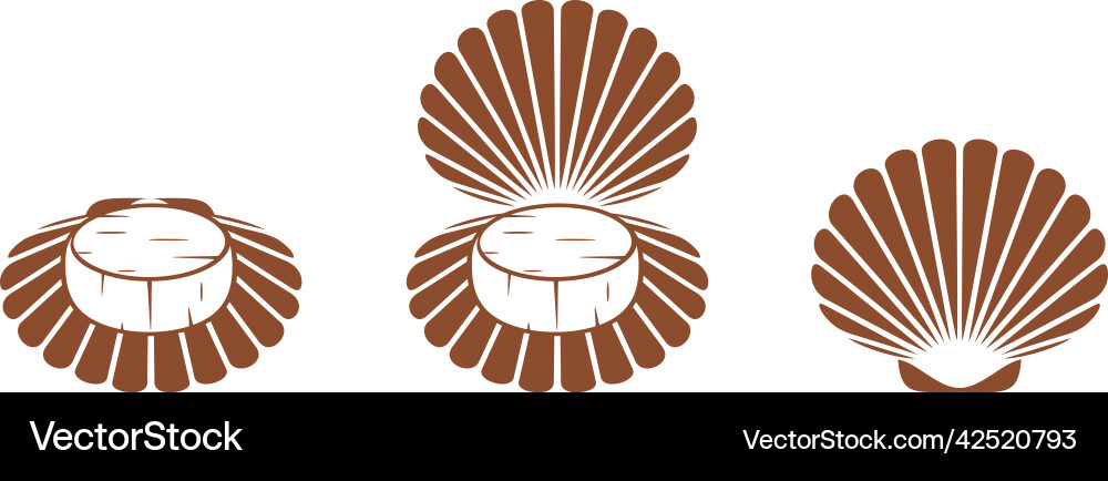 Scallop Royalty Free Vector Image - VectorStock