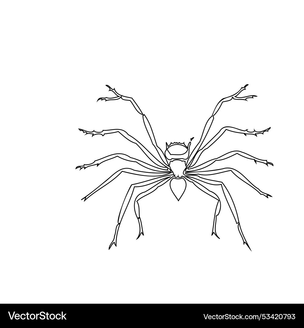 Spider halloween sketch outline Royalty Free Vector Image