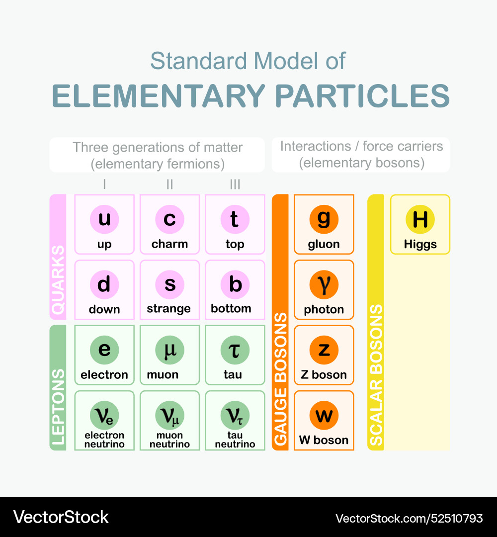 Standard model of elementary particles Royalty Free Vector