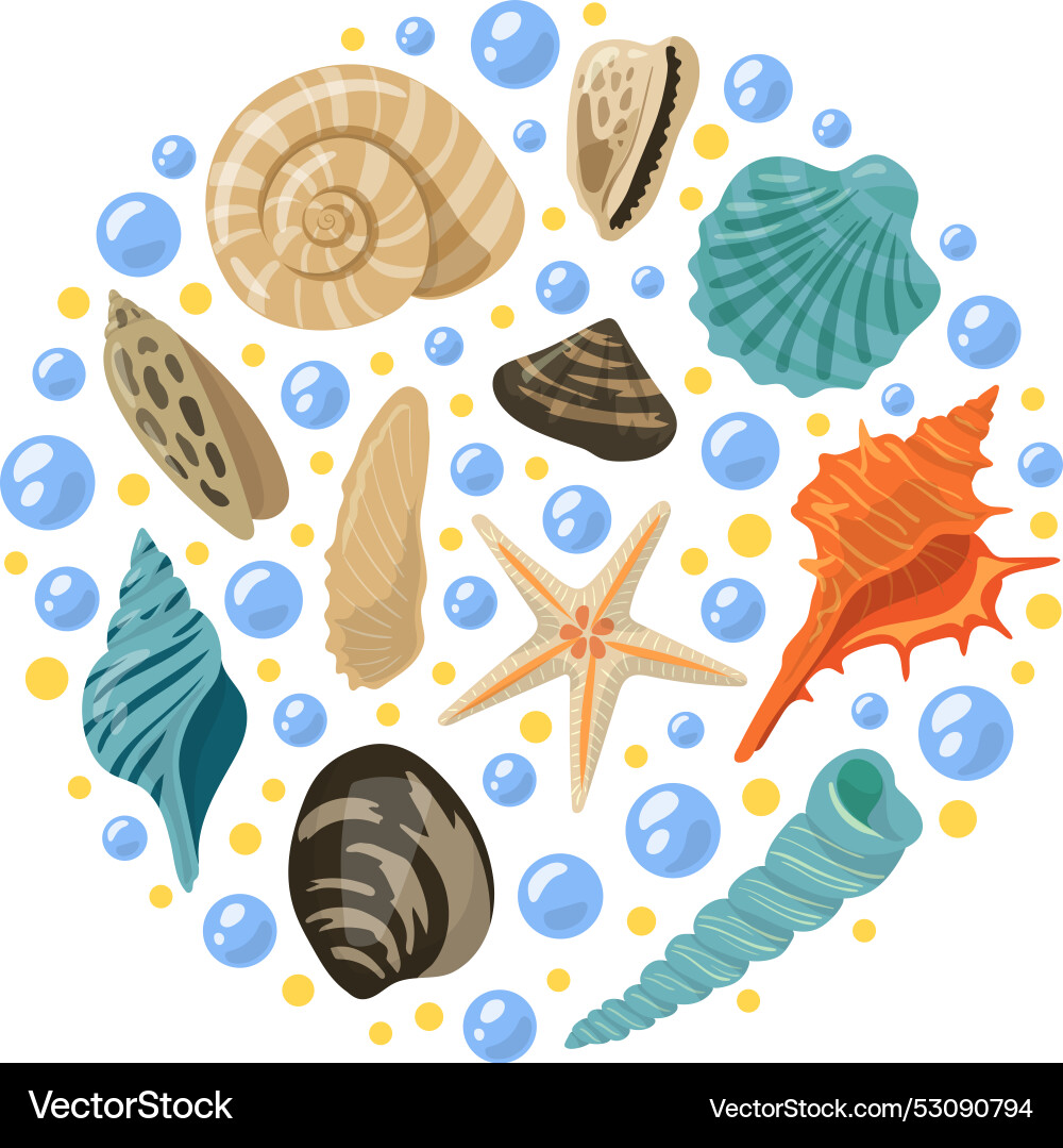 Seashells pattern in round shape marine fauna Vector Image