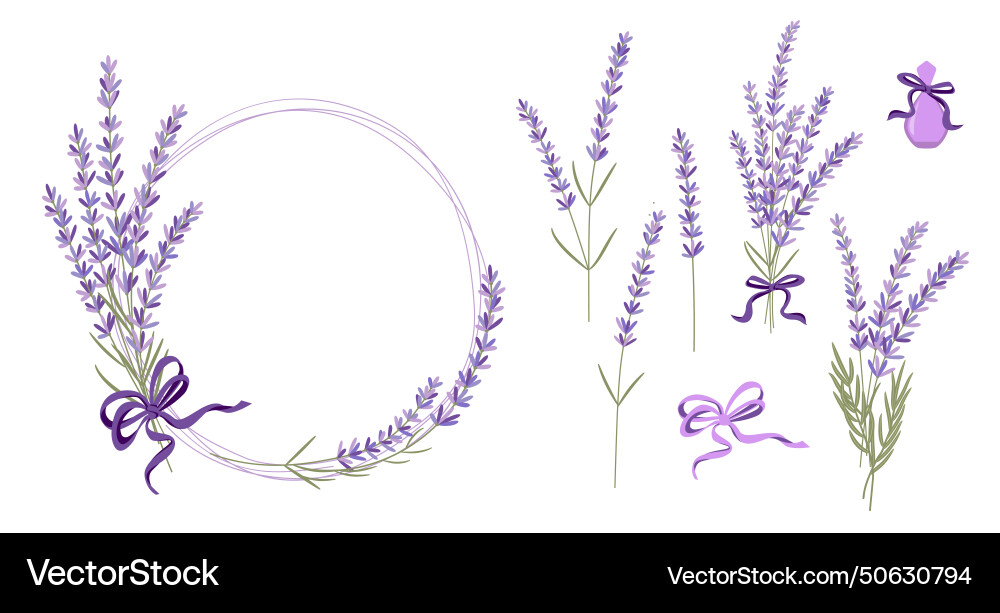 Set of lavender flowers Royalty Free Vector Image