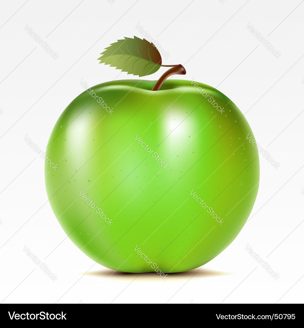 Apple Royalty Free Vector Image - VectorStock