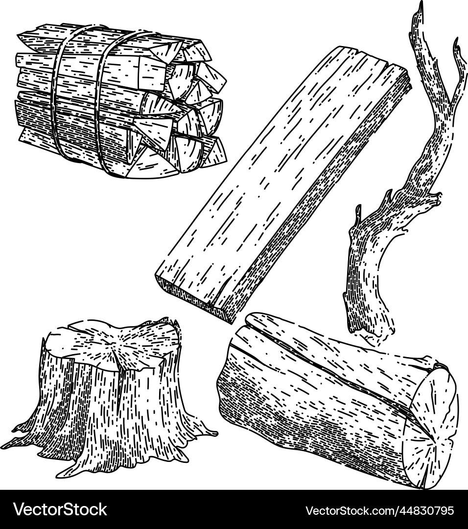 Wood log set sketch hand drawn Royalty Free Vector Image