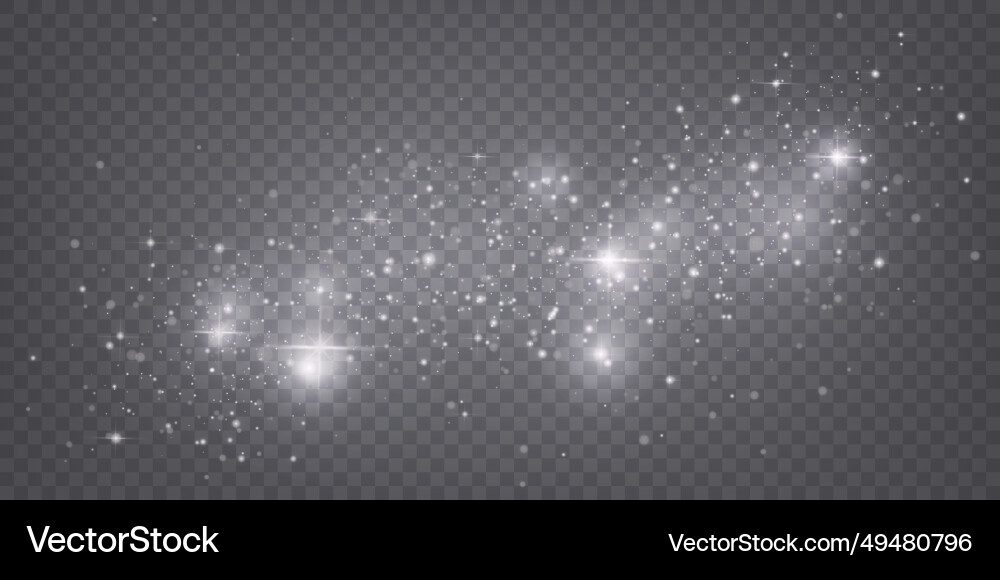 Light particle white bokeh glitter magic spark Vector Image