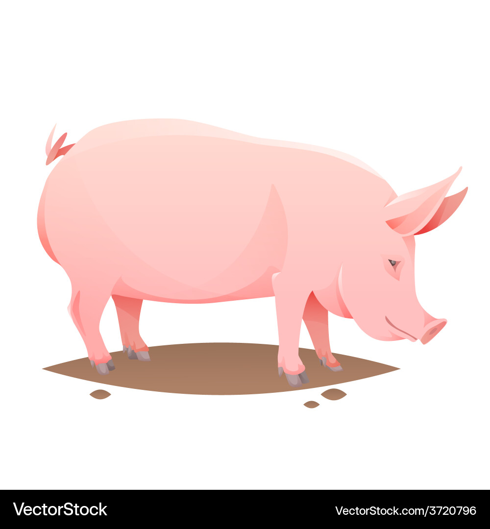 Pink farm pig Royalty Free Vector Image - VectorStock