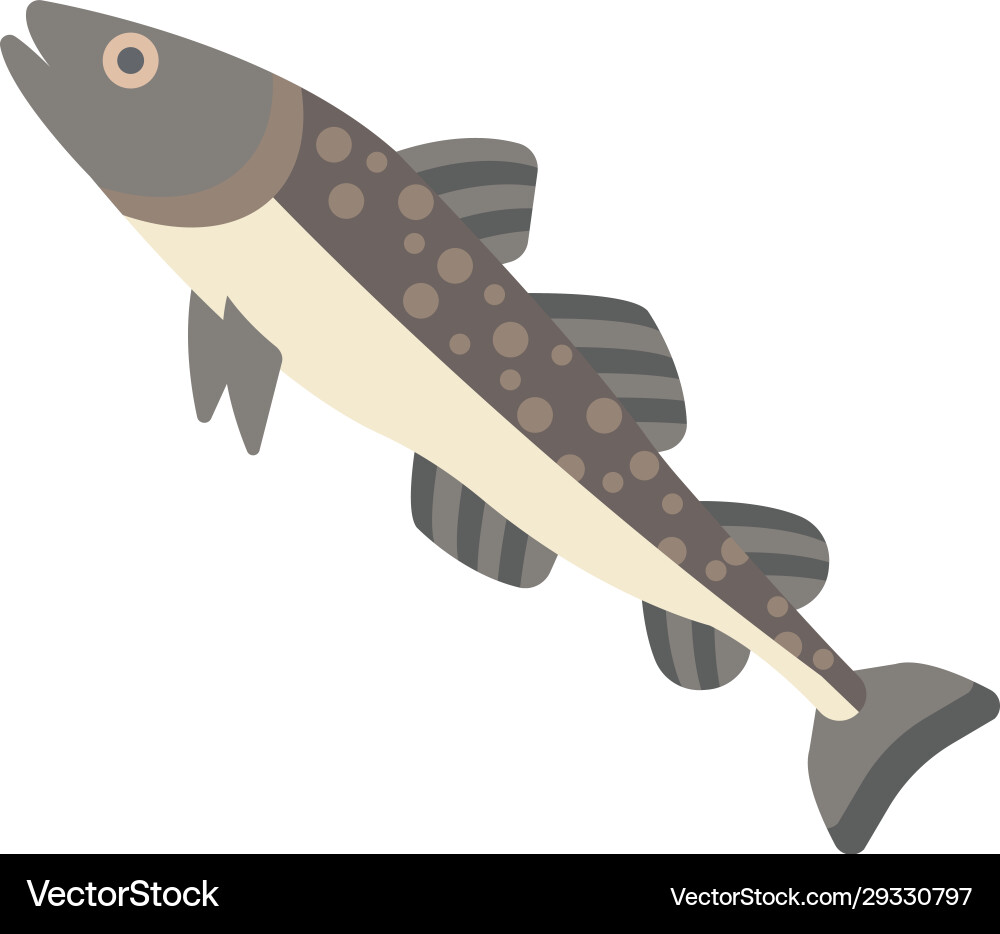 Cod fish Royalty Free Vector Image - VectorStock