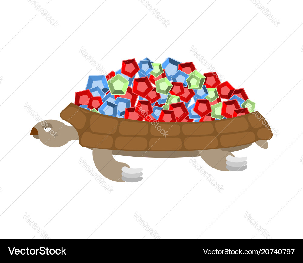 Turtle gemstones treasure on shell rich marine Vector Image