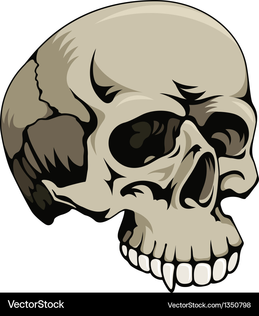 Skull Royalty Free Vector Image - VectorStock