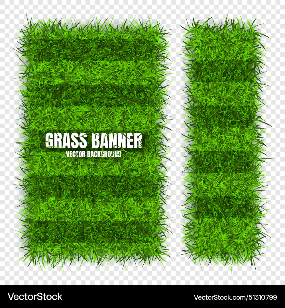 Green grass banners background field meadow Vector Image