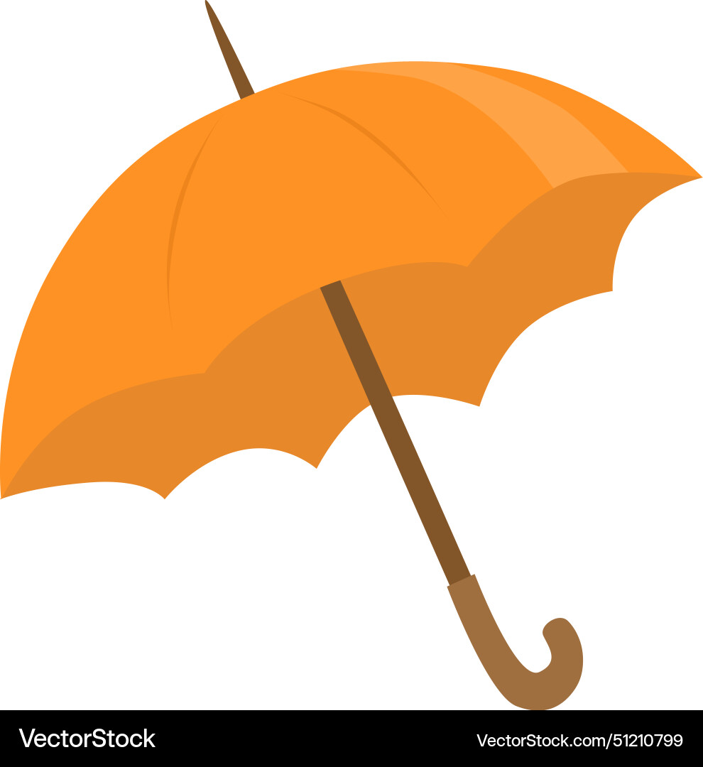 Orange umbrella open umbrellas various prints Vector Image