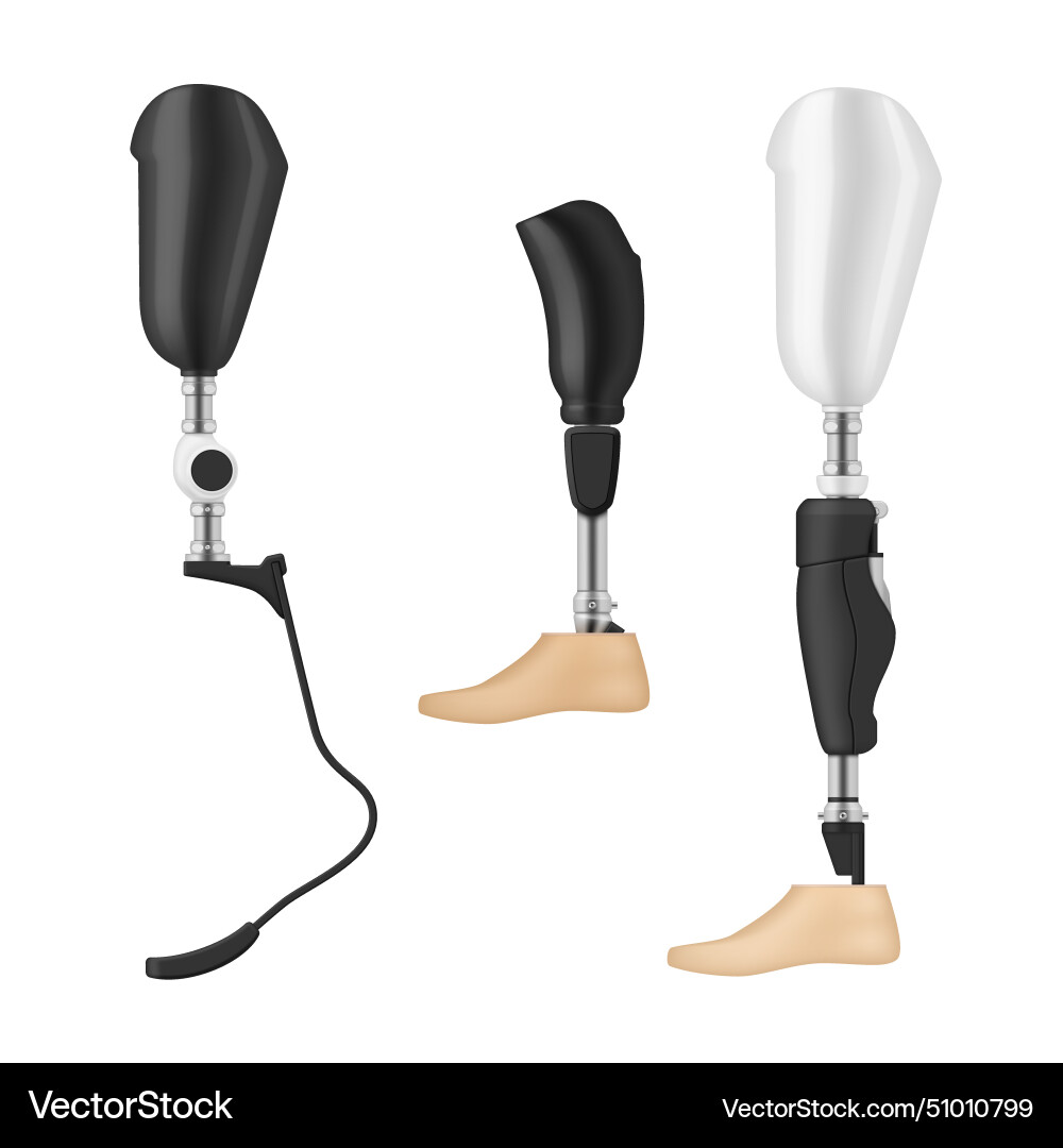 Prosthetic legs artificial limb for support Vector Image