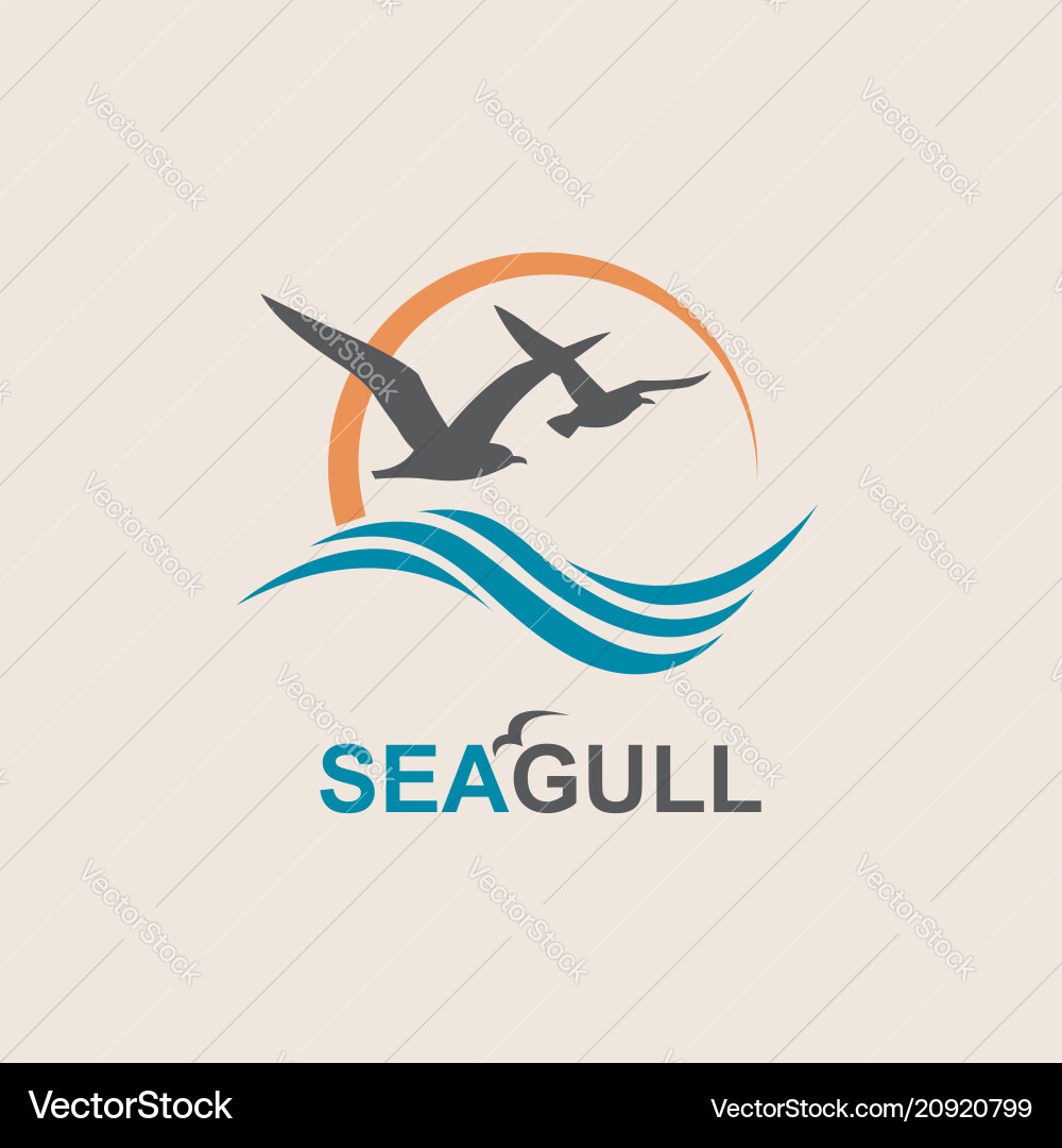 Seagull logo design Royalty Free Vector Image - VectorStock