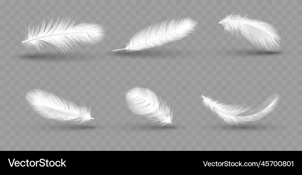 Realistic white soft goose feathers fluffy Vector Image