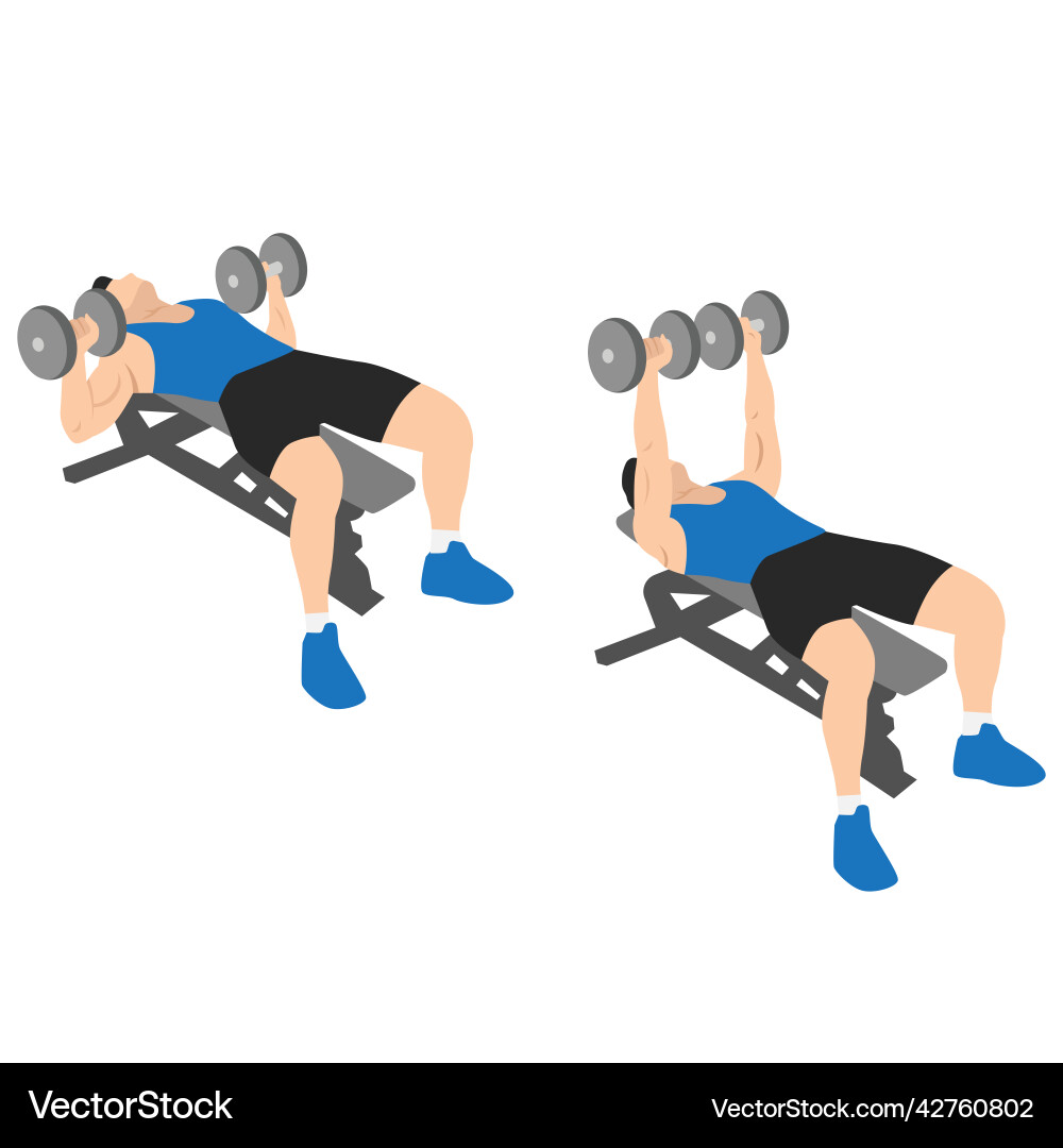 Mann tun Hantel flache Bank Presse Brust Übungen Vektorbild