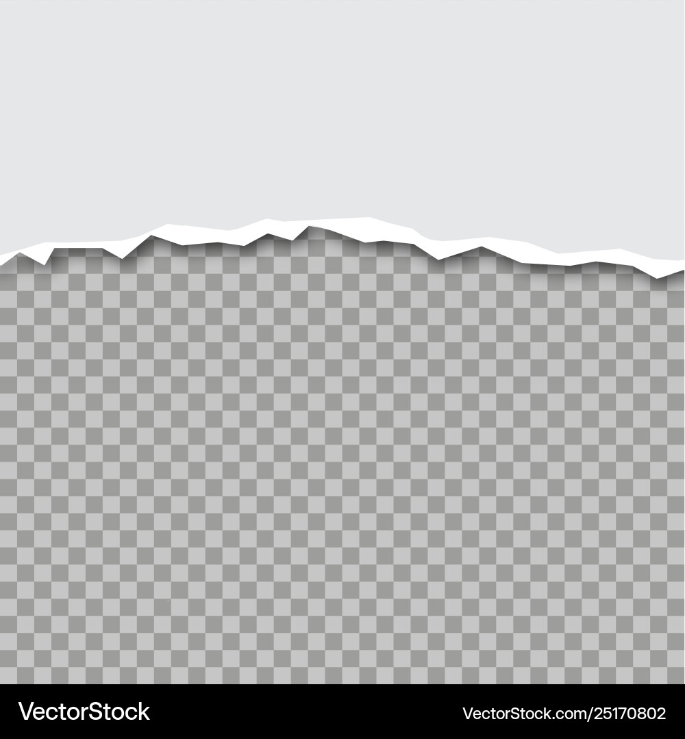 Ripped paper Royalty Free Vector Image - VectorStock