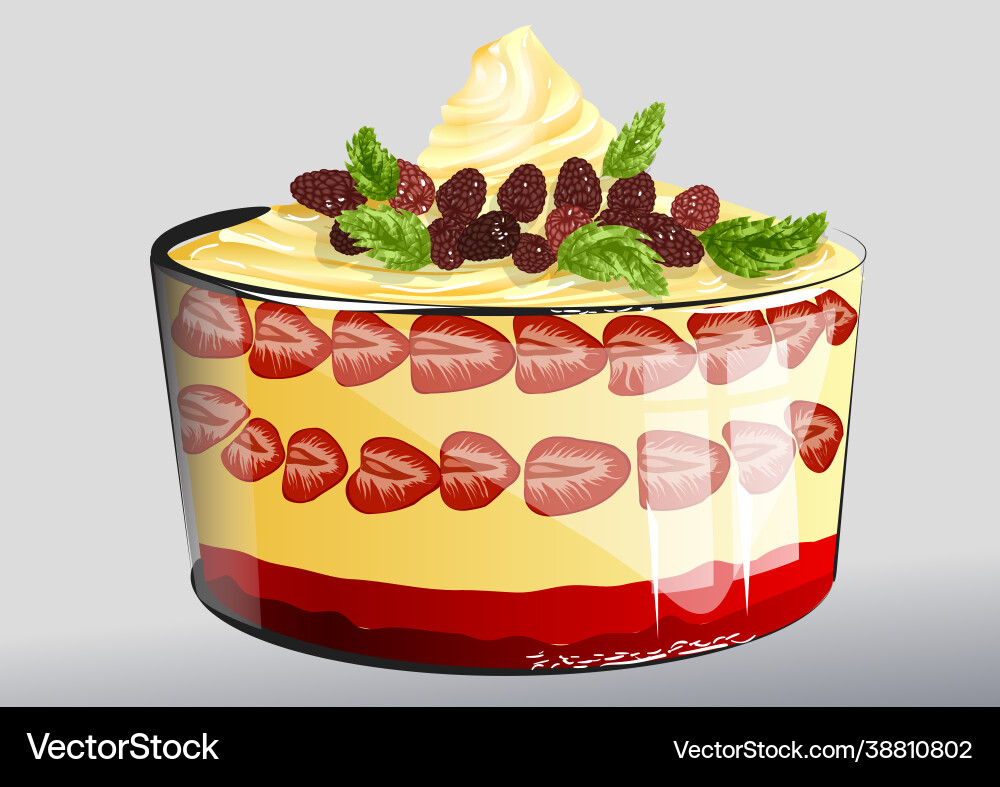 Trifle with strawberry Royalty Free Vector Image