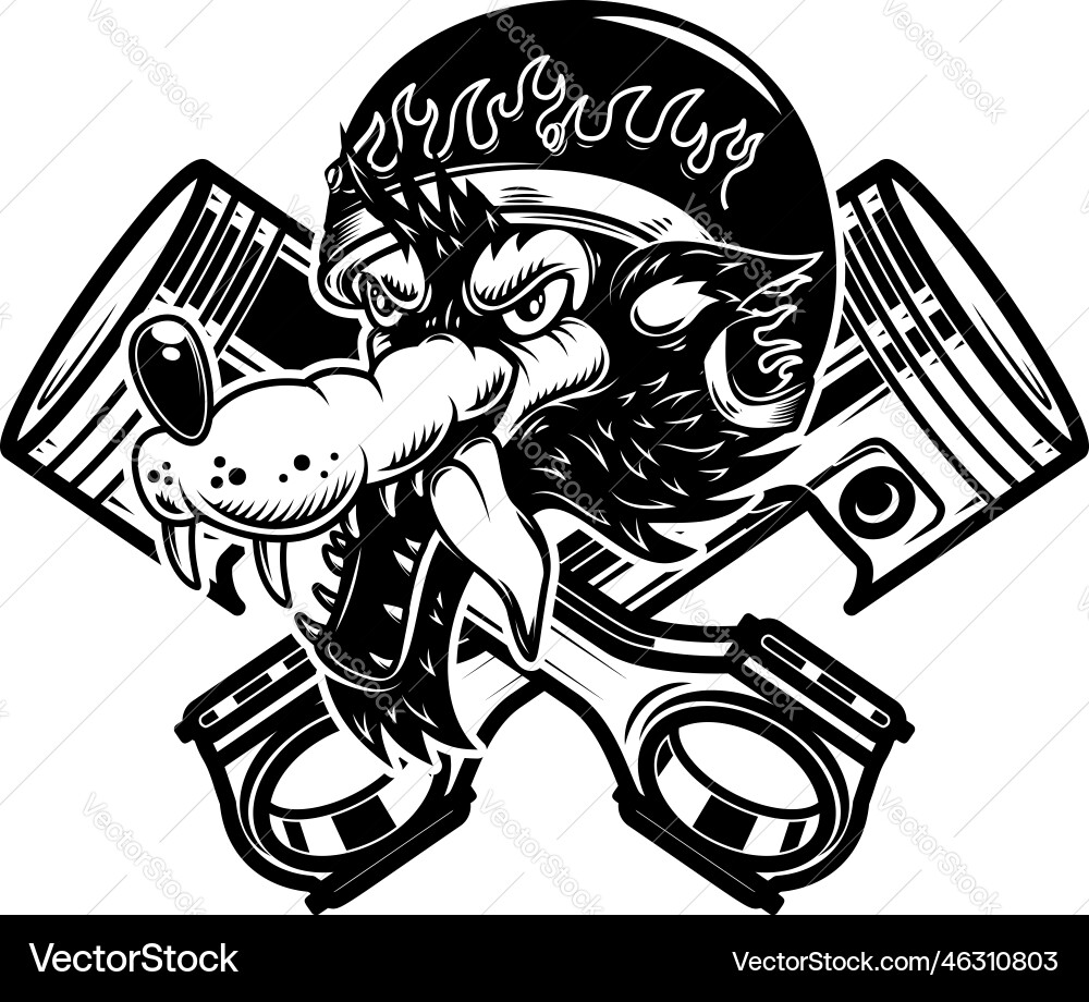 Wolf biker with crossed pistons design Royalty Free Vector
