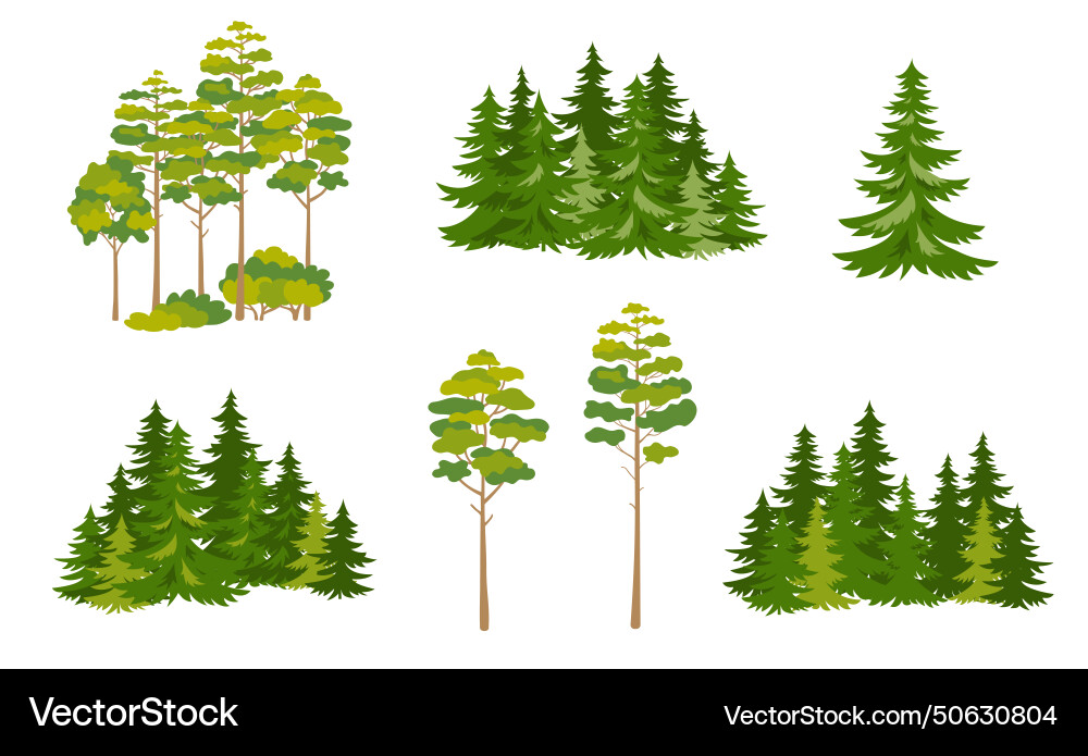 Composition of spruce forest with big green Vector Image