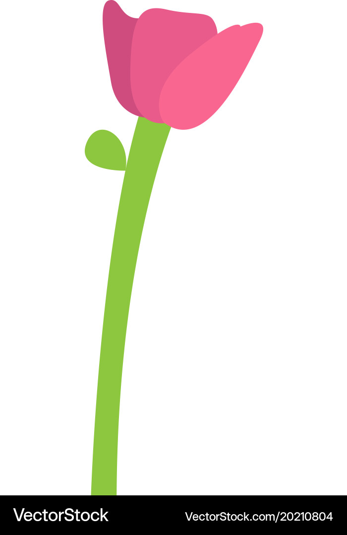 Cute rose icon Royalty Free Vector Image - VectorStock