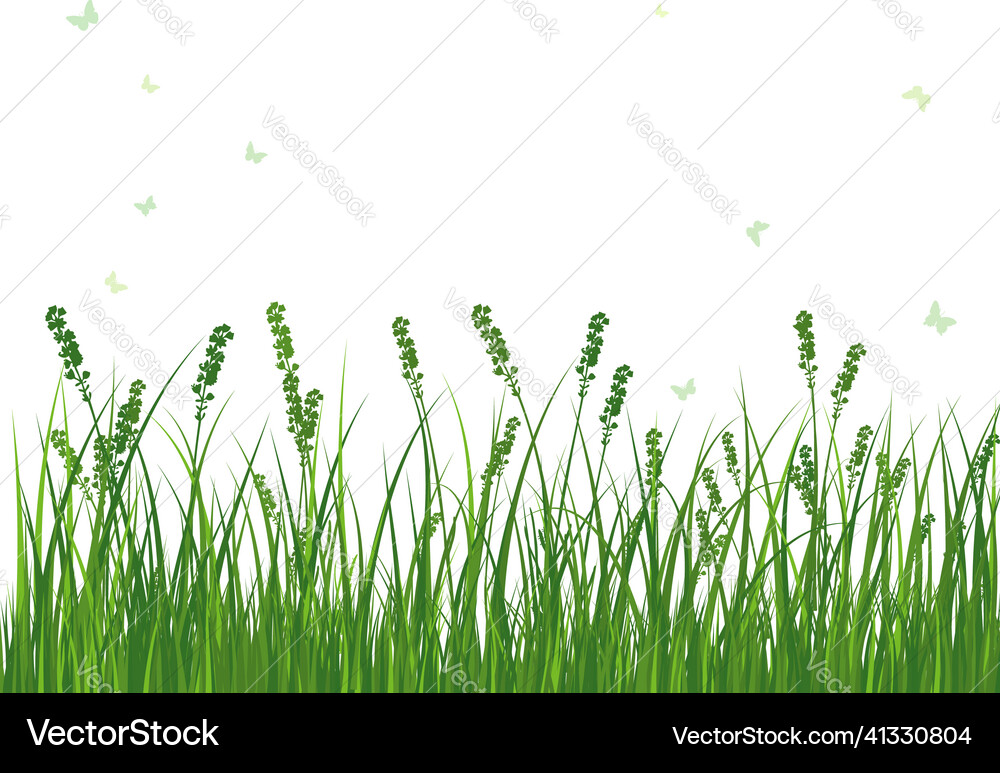 Green grass meadow Royalty Free Vector Image - VectorStock