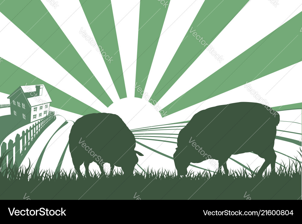 Sheep farm sunrise landscape Royalty Free Vector Image