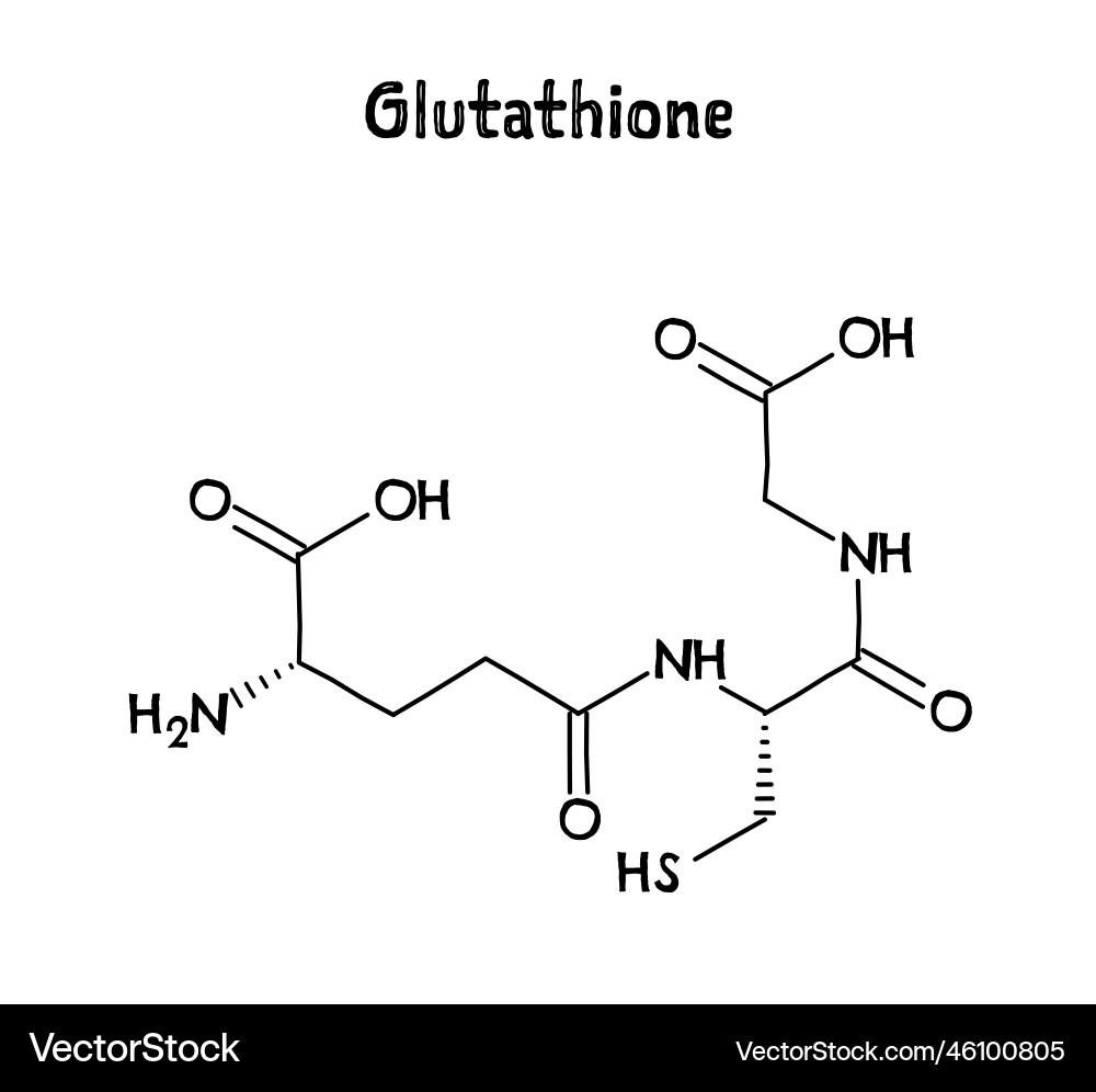 Glutathione structural formula of molecular Vector Image