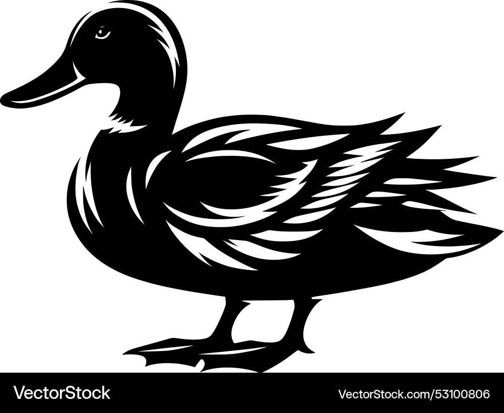Duck silhouette isolated on white background Vector Image