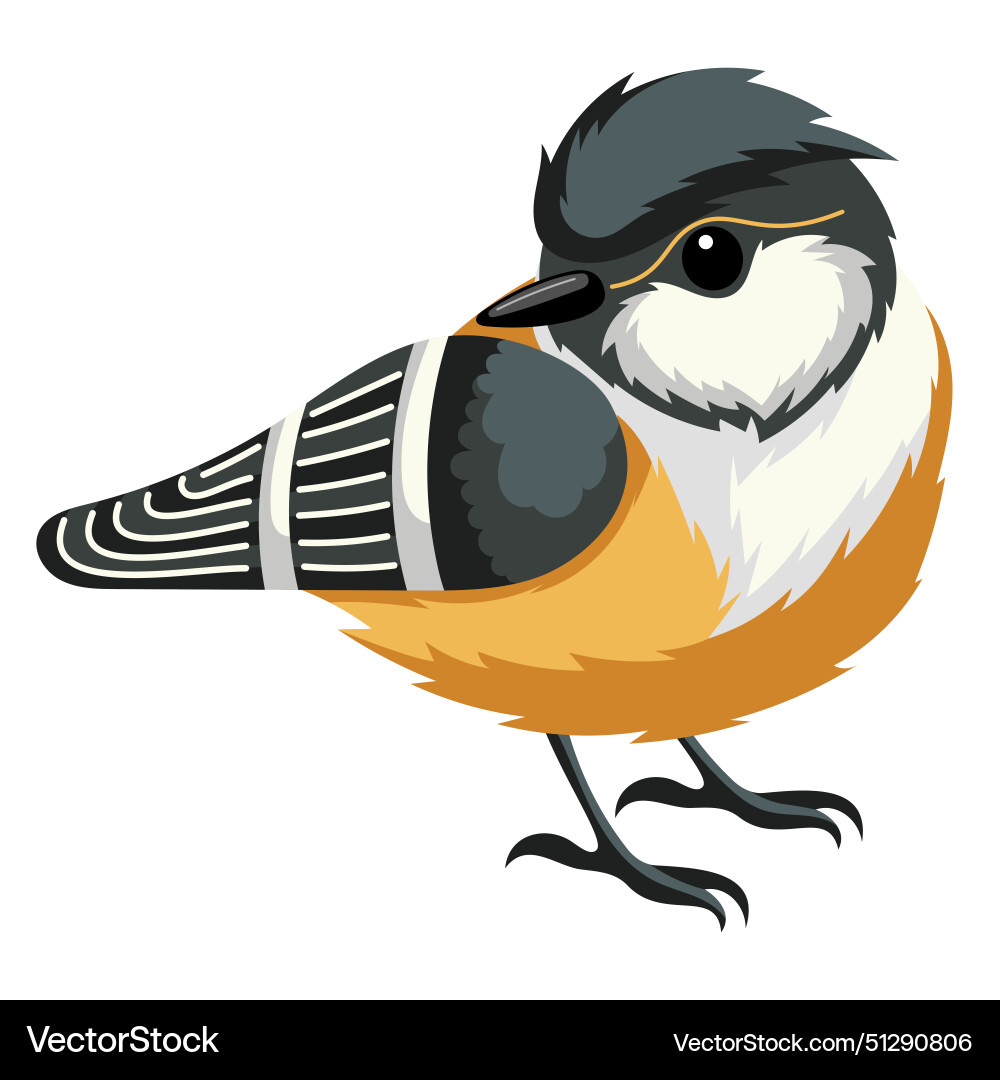 Gray and yellow bird Royalty Free Vector Image