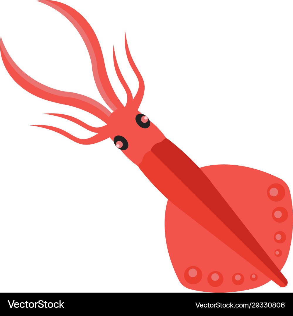 Squid Royalty Free Vector Image - VectorStock