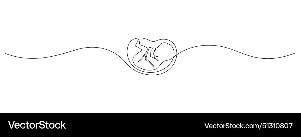 Baby embryo in womb one continuous line drawing Vector Image