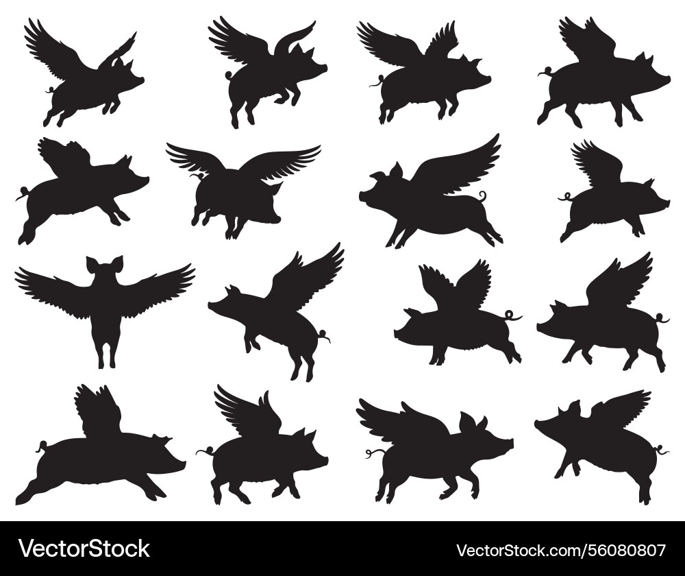 Flying pigs silhouette Royalty Free Vector Image