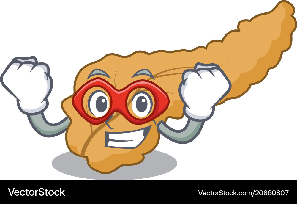 Super hero pancreas character cartoon style Vector Image
